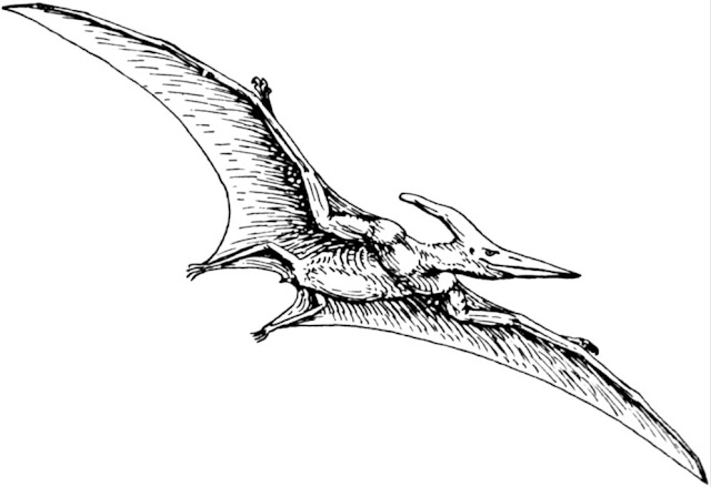 All This Is That: pterodactyl