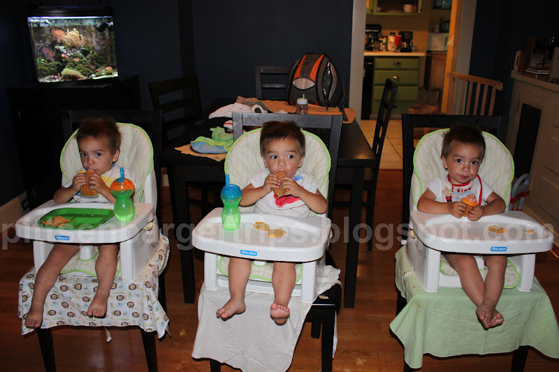PITTS TRIP'S: the Pittsenbarger identical triplets saga: Tips for Triplets
