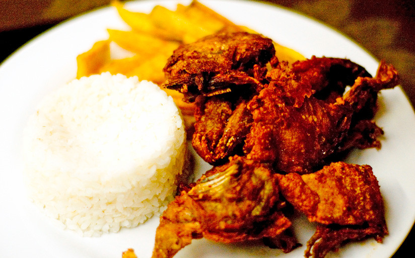 'Cuy' asado o frito: la proteína no convencional que se consume en ...