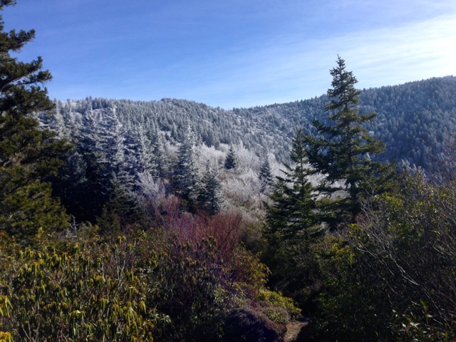 900 miles: Maddron Bald and Albright Grove Loop Trails