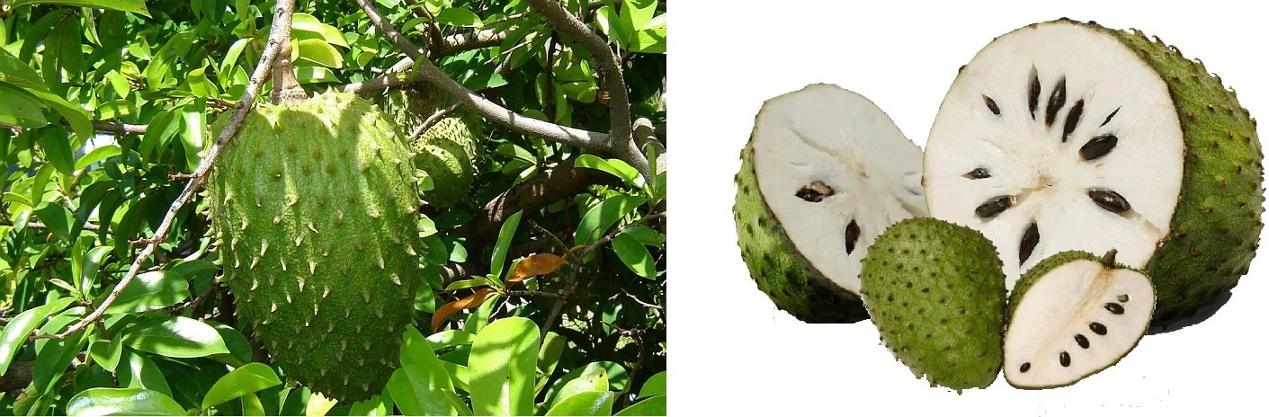 What's New Philippines? : Events-People-Travel-Technology-WildLife