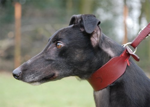 Chris Allsopp Racing Blog: August 2011