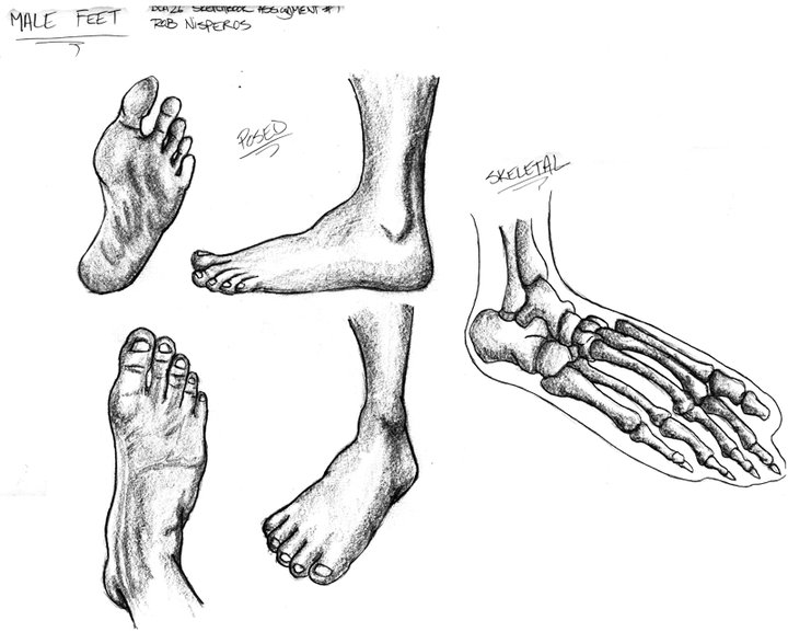 Rob C. Nisperos: Art & Animation has MOVED.: Life Drawing - Hand & Feet ...