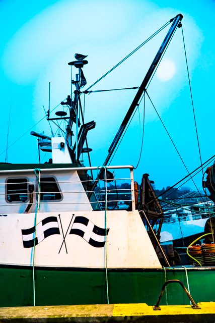 Through the Gaps! - Newlyn Fishing News: UK v EU decree nisi day ...