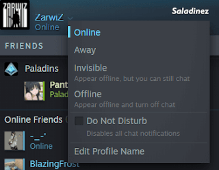 Cara Mengubah Status Steam Menjadi Online, Away, dan Offline