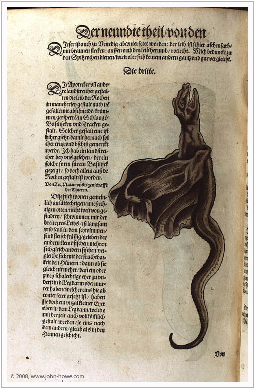 Kriptozoológia: Jenny Haniver