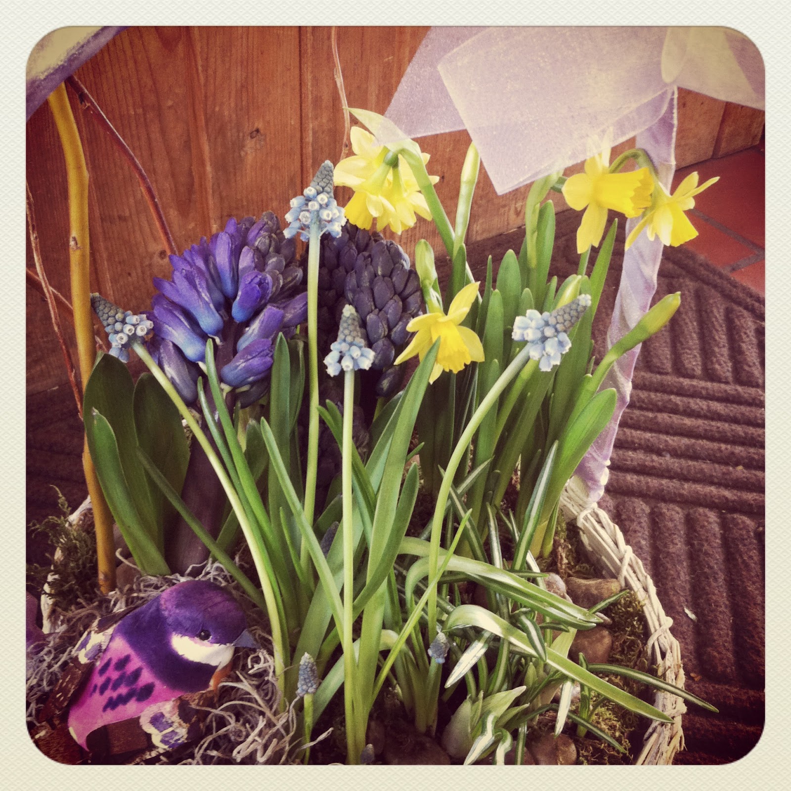 the Saltbox: How To: plant a bulb garden