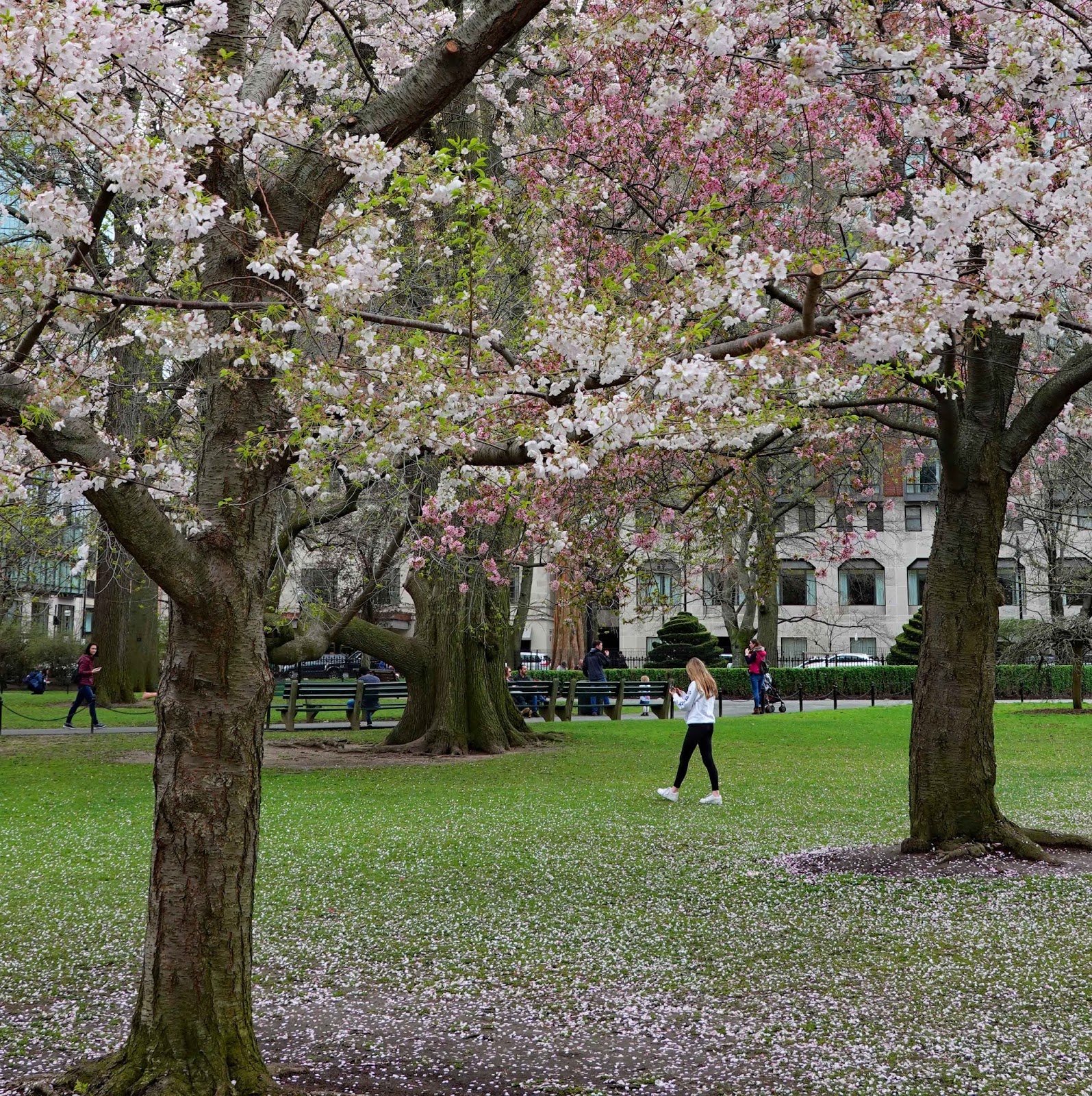 Joe's Retirement Blog: April 2019