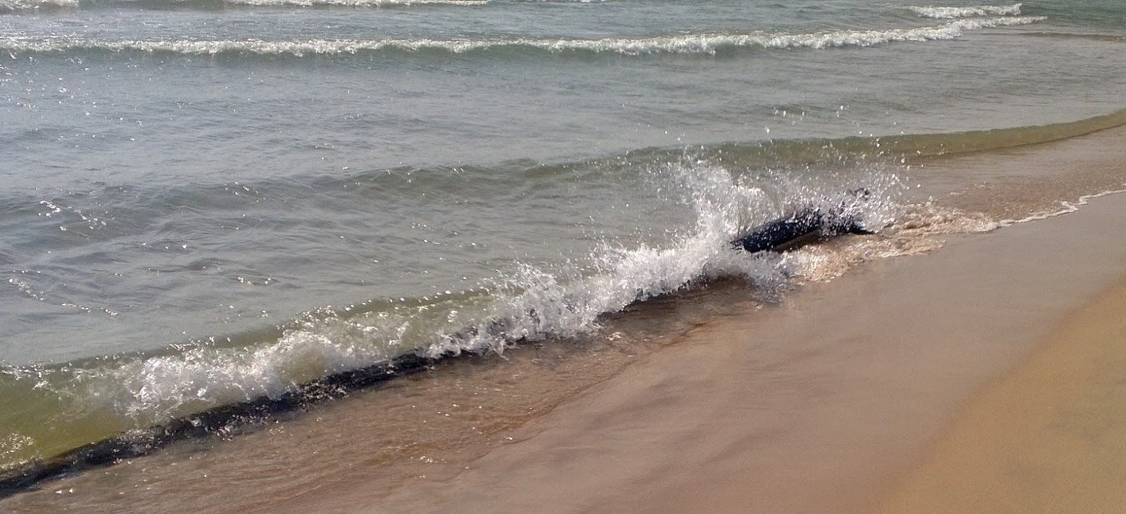 Lake Michigan (Near Stony Lake)