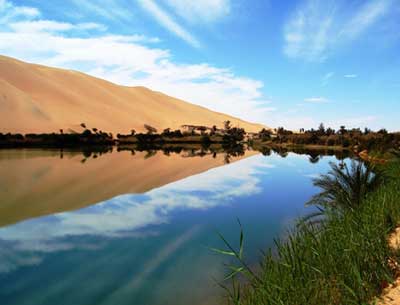 Five of the most beautiful Oasis in the world | The True Adventures
