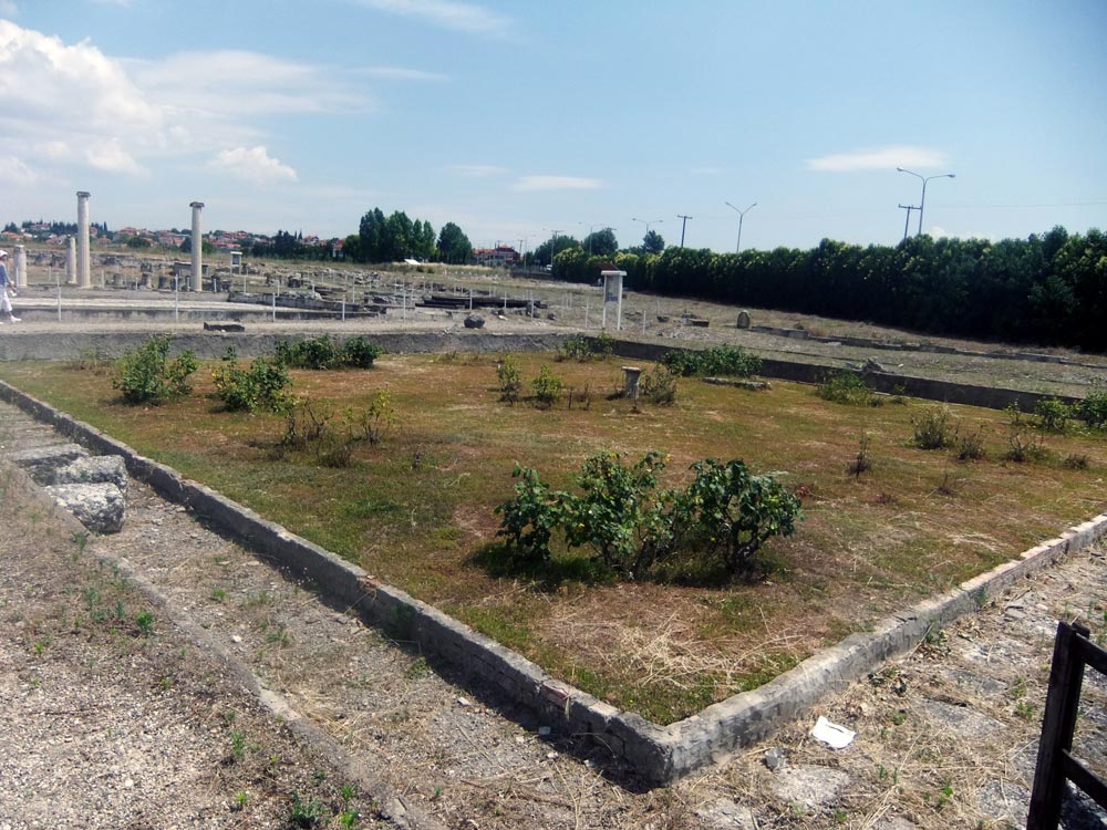 Traveller Through an Antique Land: Pella