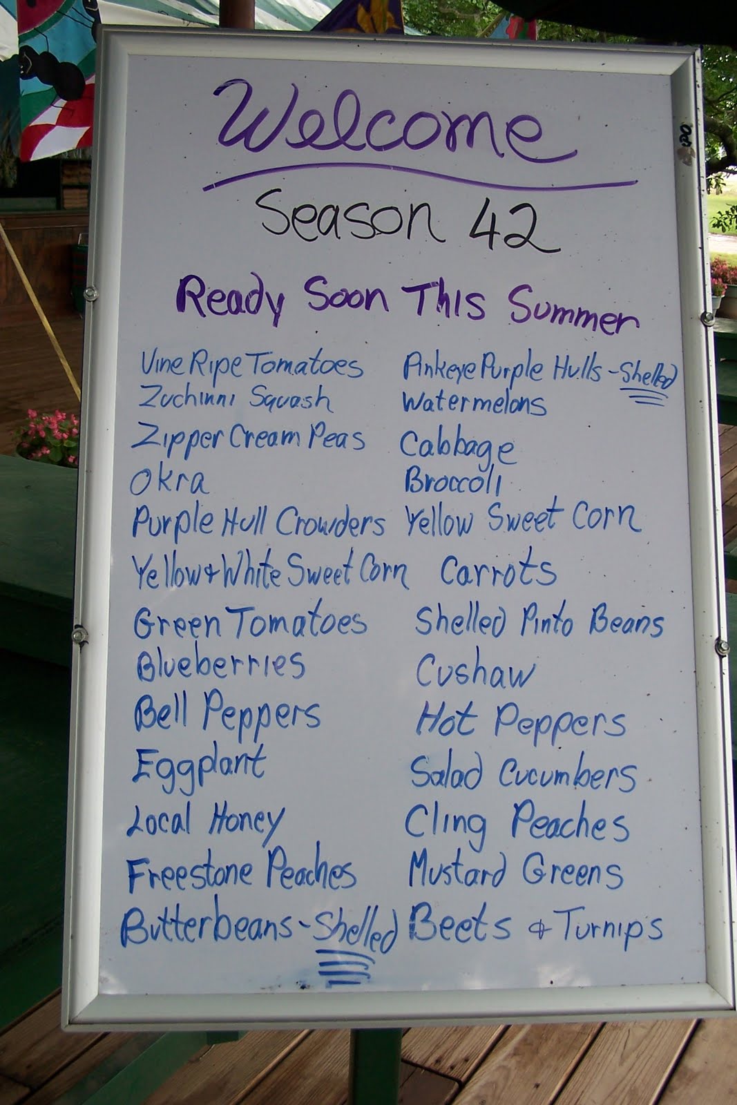 And So it Goes in Shreveport: Take a Trip to Ed Lester Farms and A ...