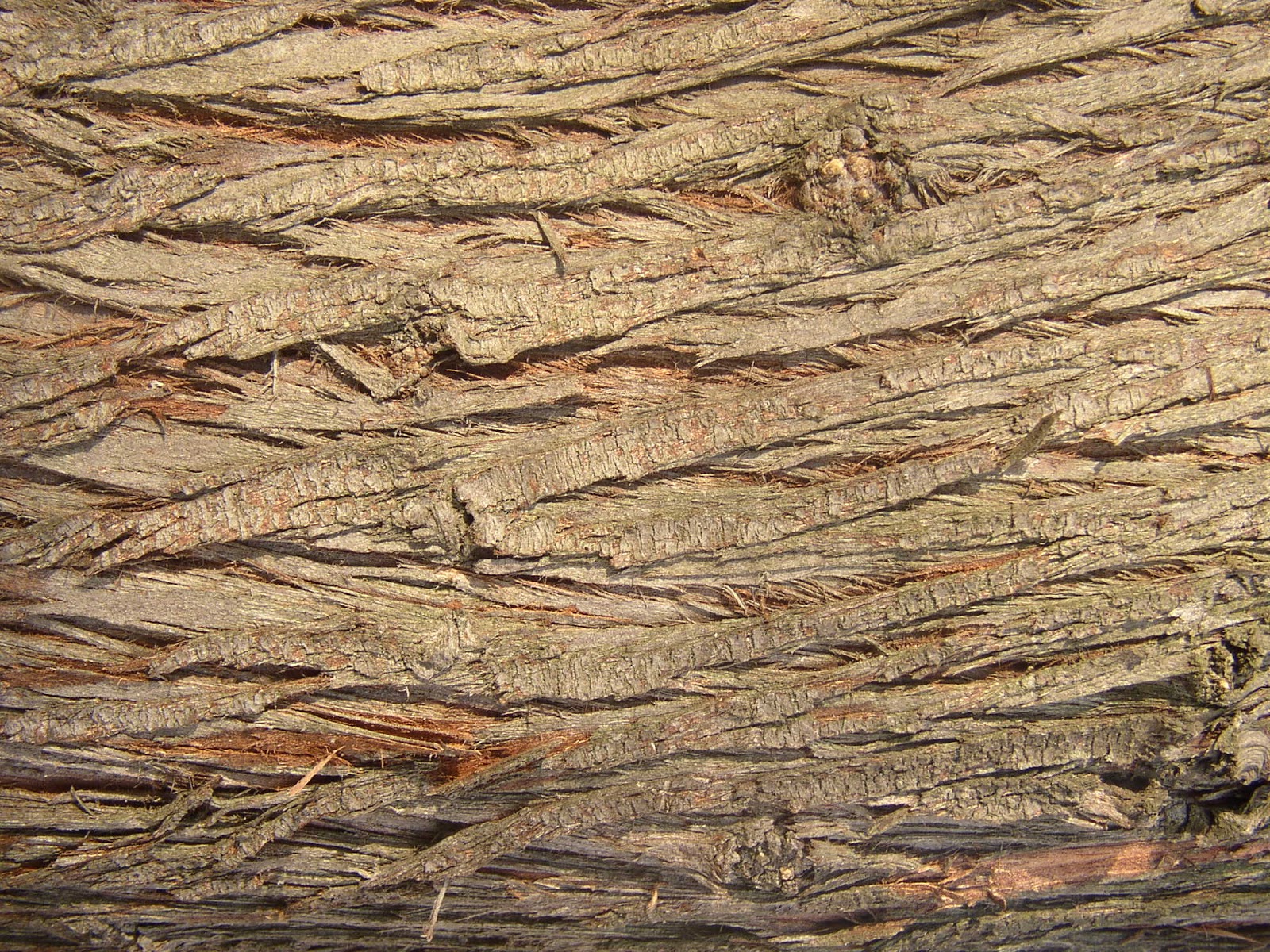 Download bộ texture gỗ đẹp với chất lượng cao - Lực Đẹp Trai