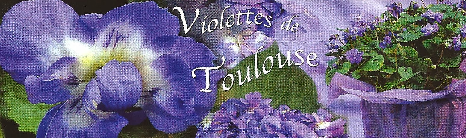 Chez Lilwenna: Les violettes de Toulouse