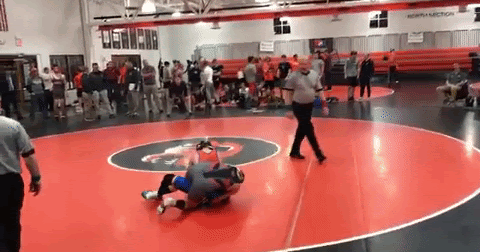 Men Wrestling Women: SPLADLE!