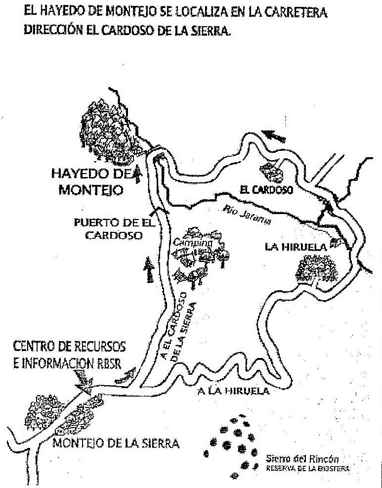 Ruta por el hayedo de Montejo (Montejo de la Sierra - Madrid ...