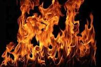 Energia Paulistânica: * Elementais