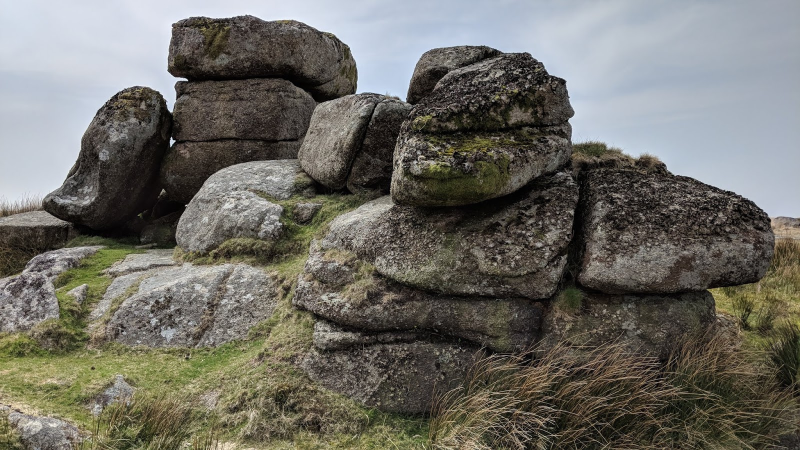 Max Piper - Tor Bagger: Dartmoor: Around Fox Tor Mires