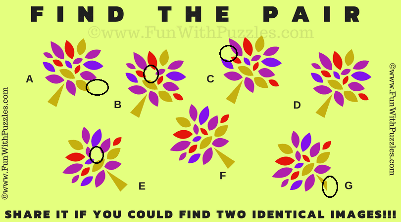 Genius Observer Challenge: Visual Riddle Quiz Puzzle