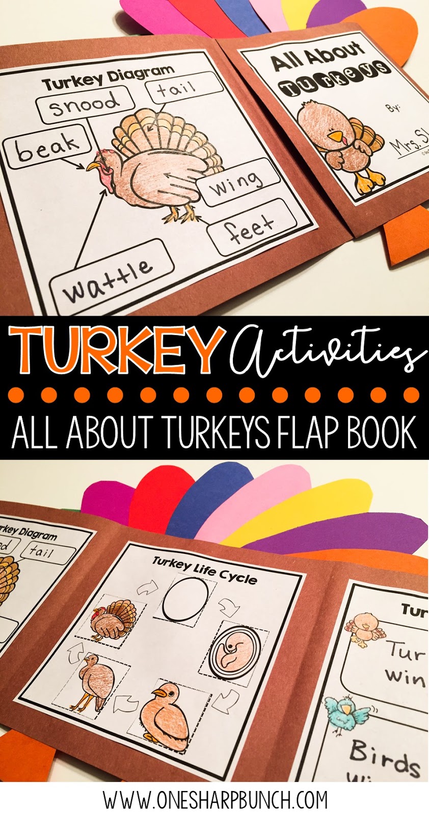 Turkey Life Cycle Activities - One Sharp Bunch