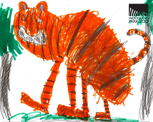Tiger Tails drawing contest winners!