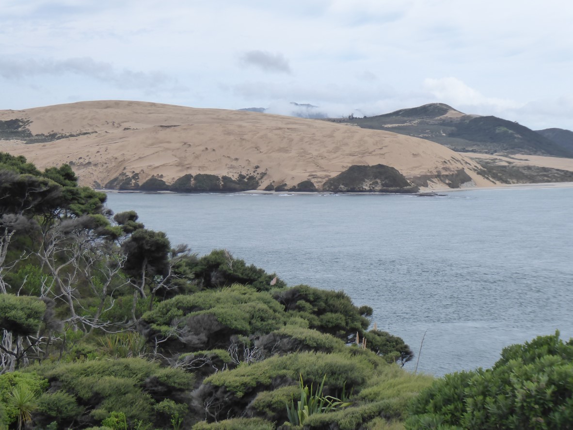The Road Goes Ever On: Big Dunes And Big Beaches: Waimamaku Track