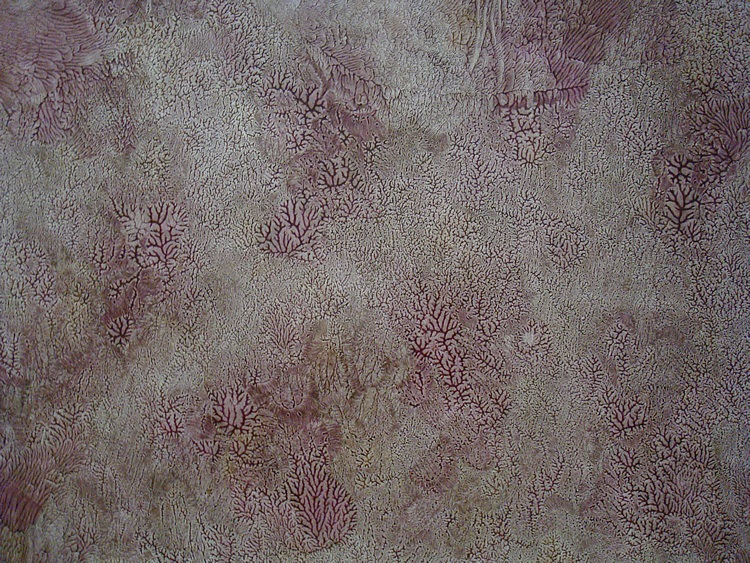 Berta's Papers: Contemporary paper models