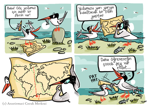 Green Humour: Arctic Tern Comics for Arastirmaci Cocuk Merkezi