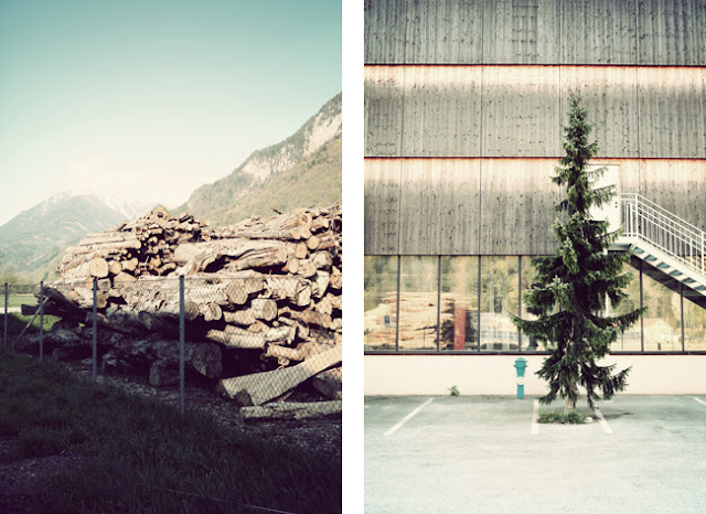 doris doppler : binder holz - jenbach