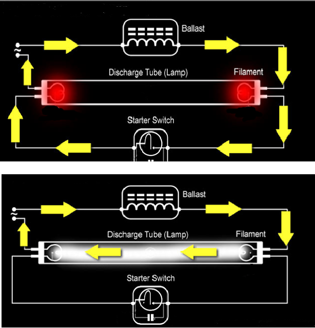 Fluorescent Lamp - EEE COMMUNITY