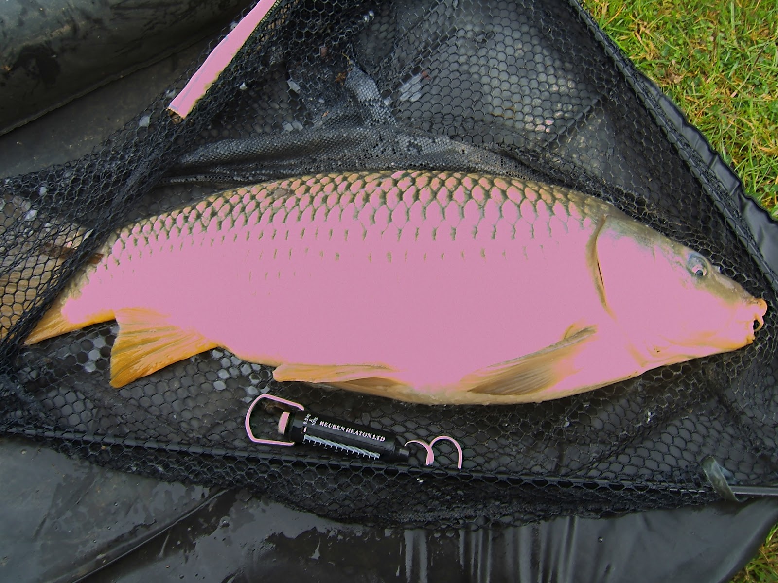 Ken's Fishing Tales: 2012 07 April 30th Broxham Pond, Edenbridge, Kent