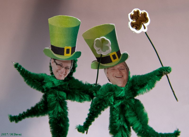 Studio Window: Leprechaun Family