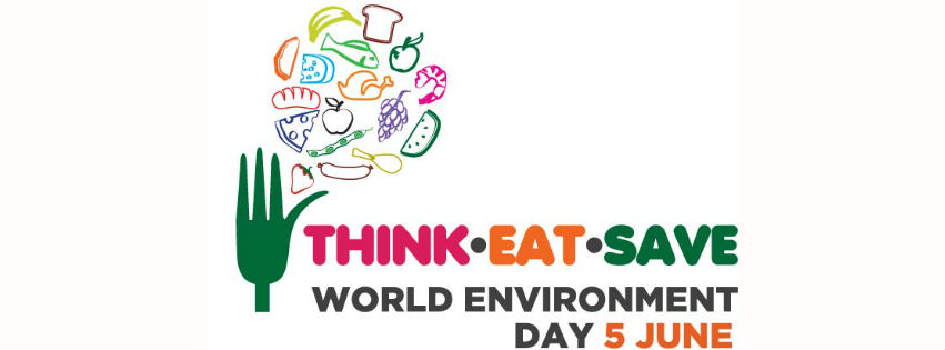 Ibi Benefici Locus Est: World Environment Day 2013 -- Think. Eat. Save.