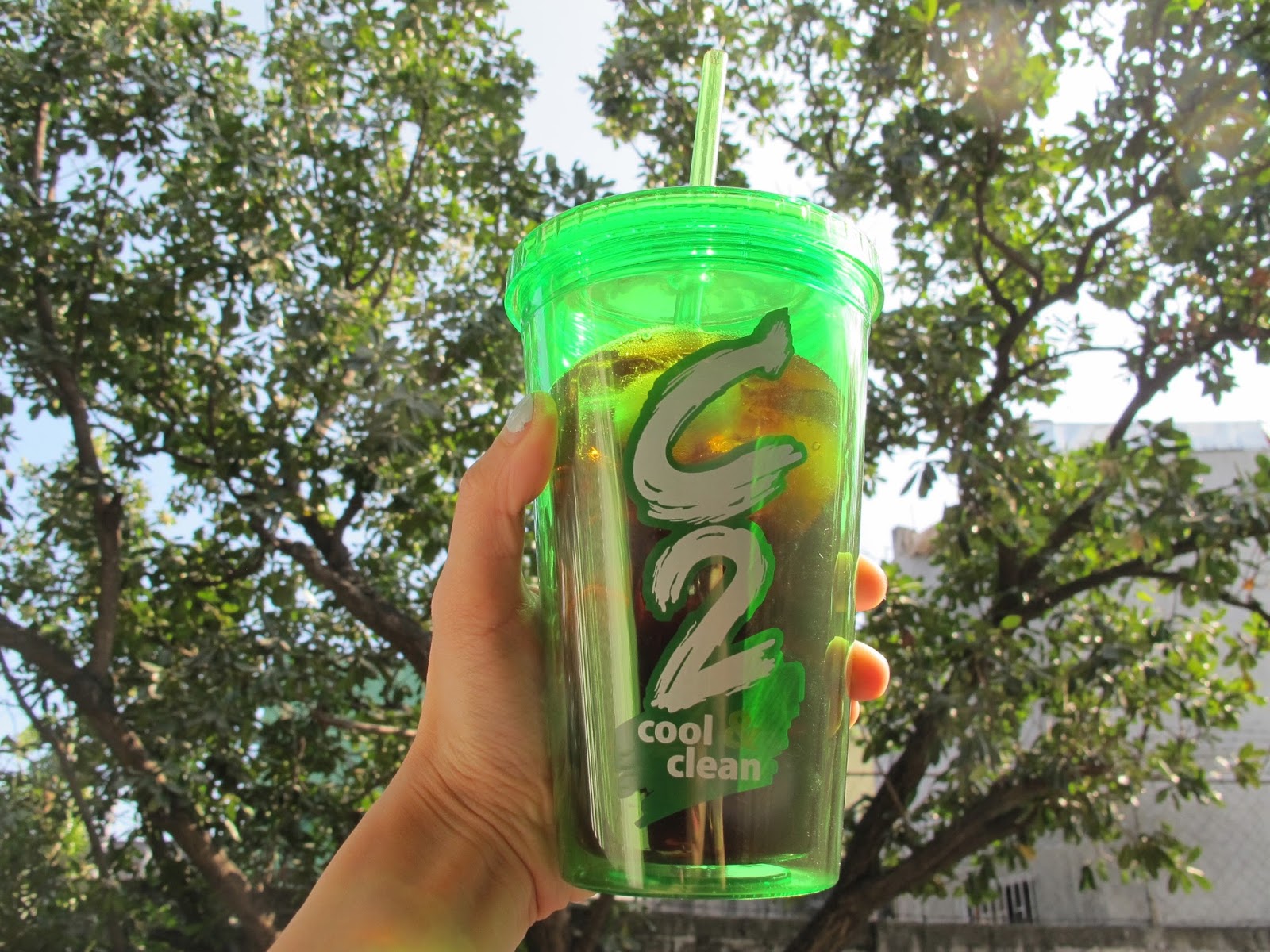 C2 for a cool and clean summer! - ARTSY FARTSY AVA