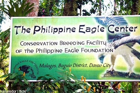 Philippine Eagle Center - Davao City