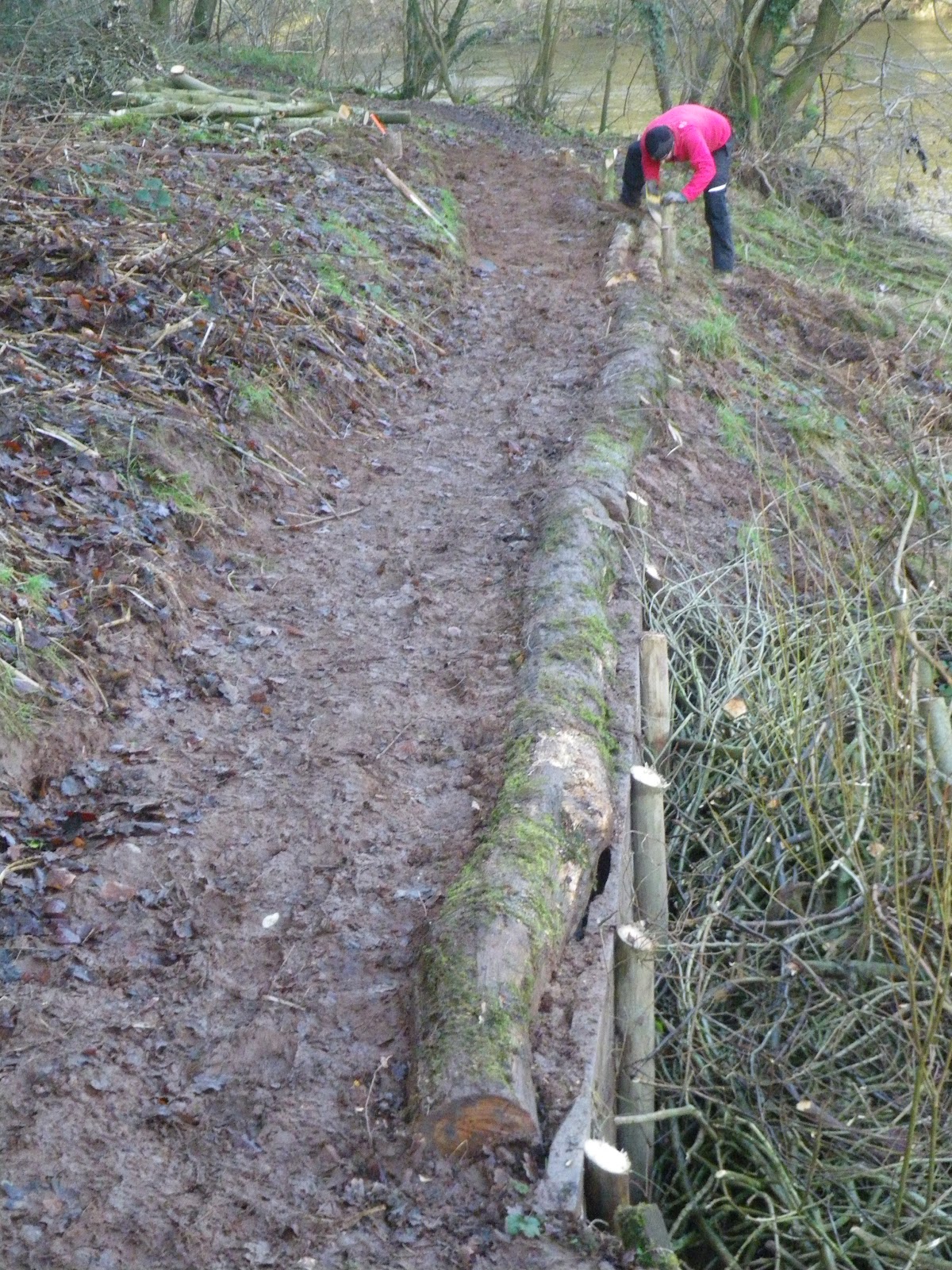 National Trust Fell Rangers: Repairing the footpath at Wetheral Woods