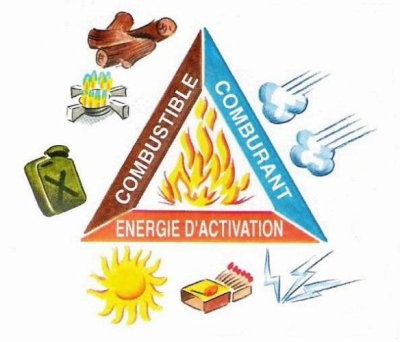 Sciences Physiques Mme Poiteau: 4e - Thème 1 - Organisation et ...
