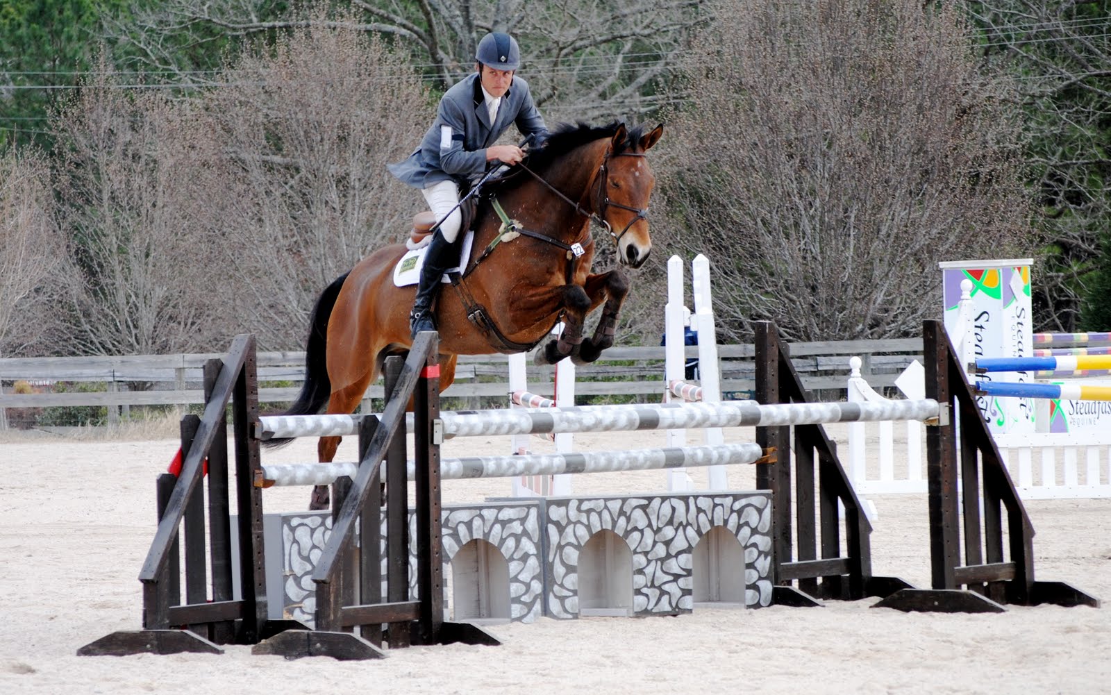 Boyd and Silva Martin: Paradise Farm Horse Trials Feb. 18-20, 2011