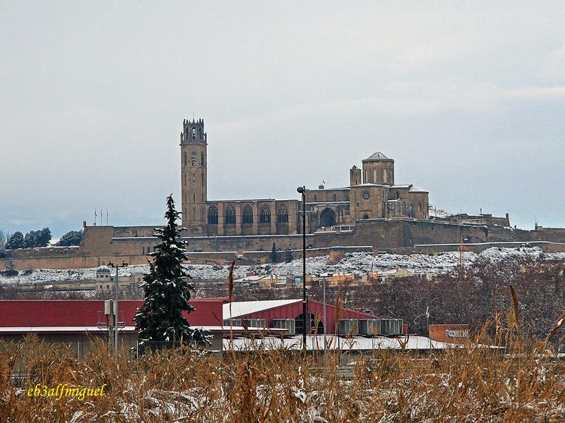 Miguel fotografia: Nieve en el Segre Lleida
