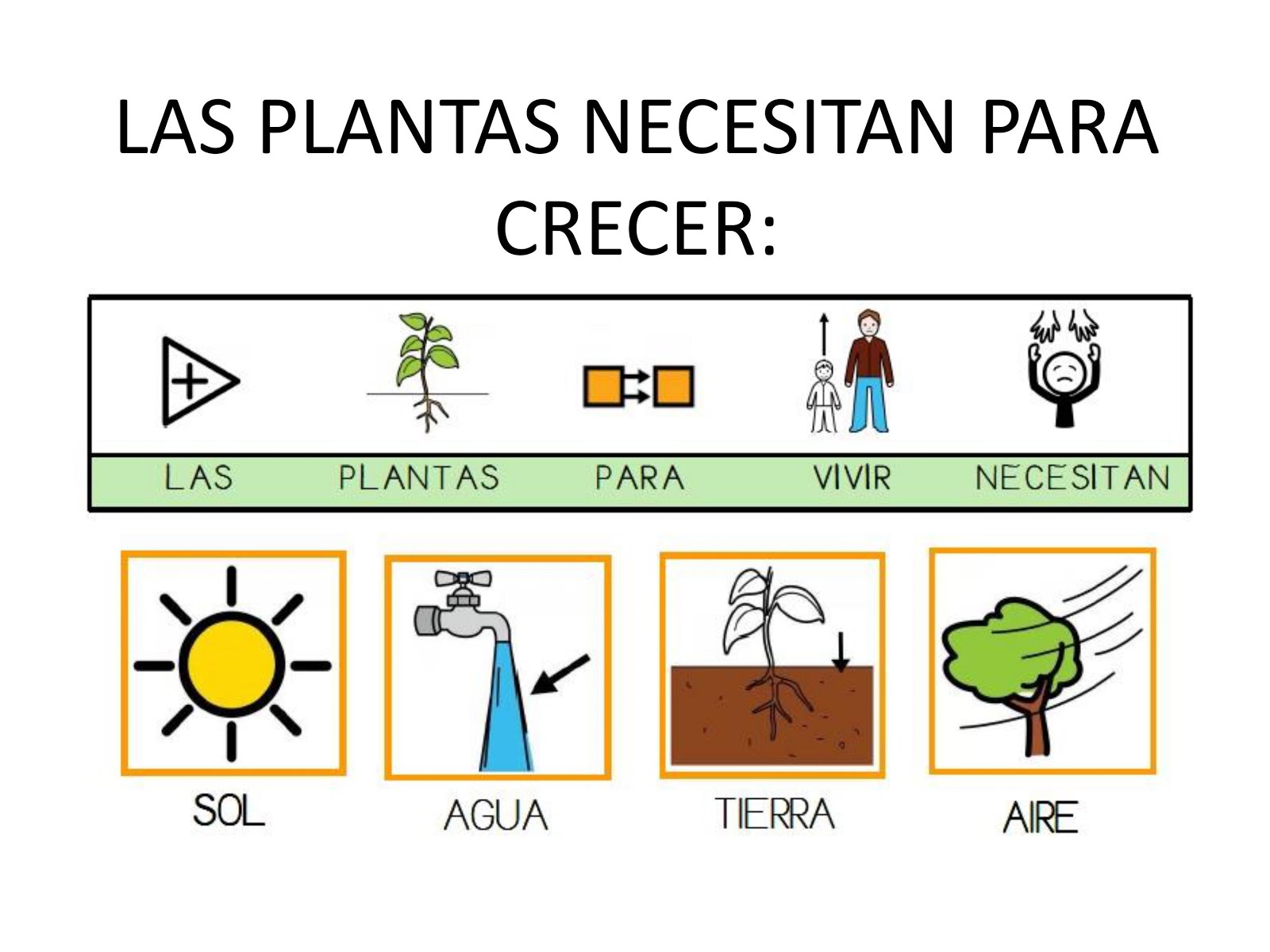RECURSOS Y ACTIVIDADES PARA EDUCACIÓN INFANTIL: LAS PLANTAS