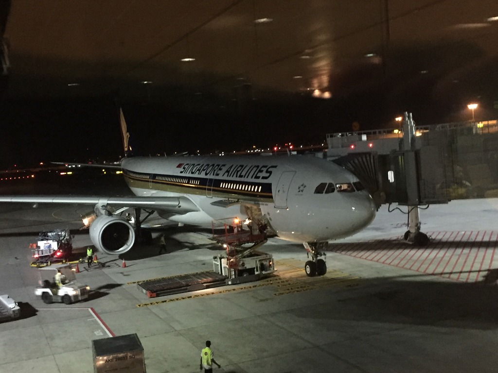 Leisure Blogger: Singapore Airlines Flight Report-SQ 528