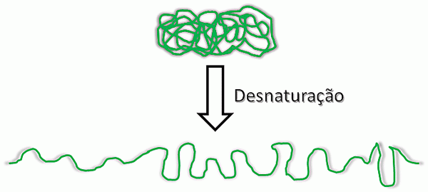 Resumos de Biologia: OS AMINOÁCIDOS, AS PROTEÍNAS E AS ENZIMAS PROTEICAS