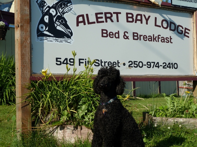 Travels with Margaux: Cormorant Island & Alert Bay