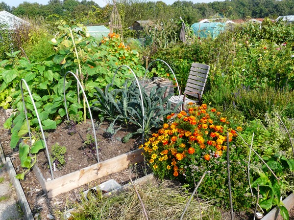 huis-tuin-en-keuken: C: Herfst-Moestuin