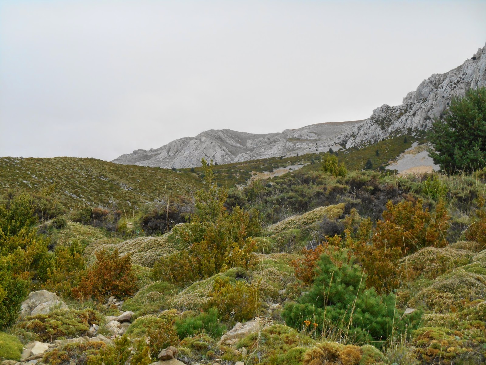 El Turbón Por la Plana