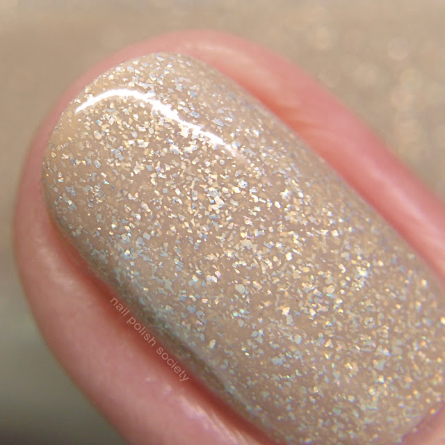 Nail Polish Society: Zoya Winter Holographics Shades