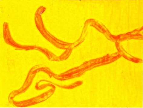 ALVEDRIO: Fazer e Pensar Arte