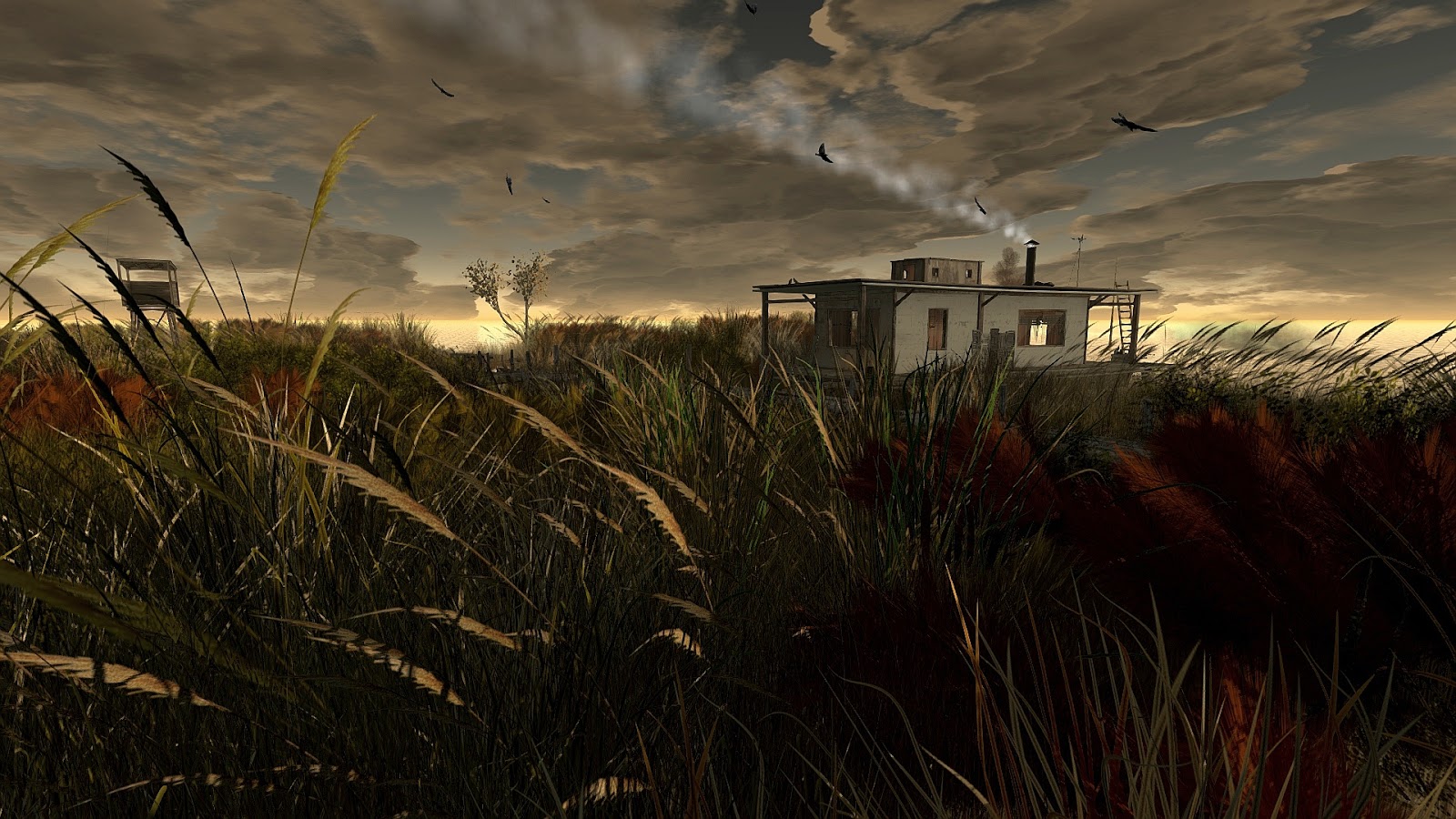 Echt Virtuell: Ein paar Fotos von Fall Trace (Herbst 2017)