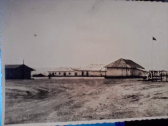 CAMAXILO - TERRA MORTA