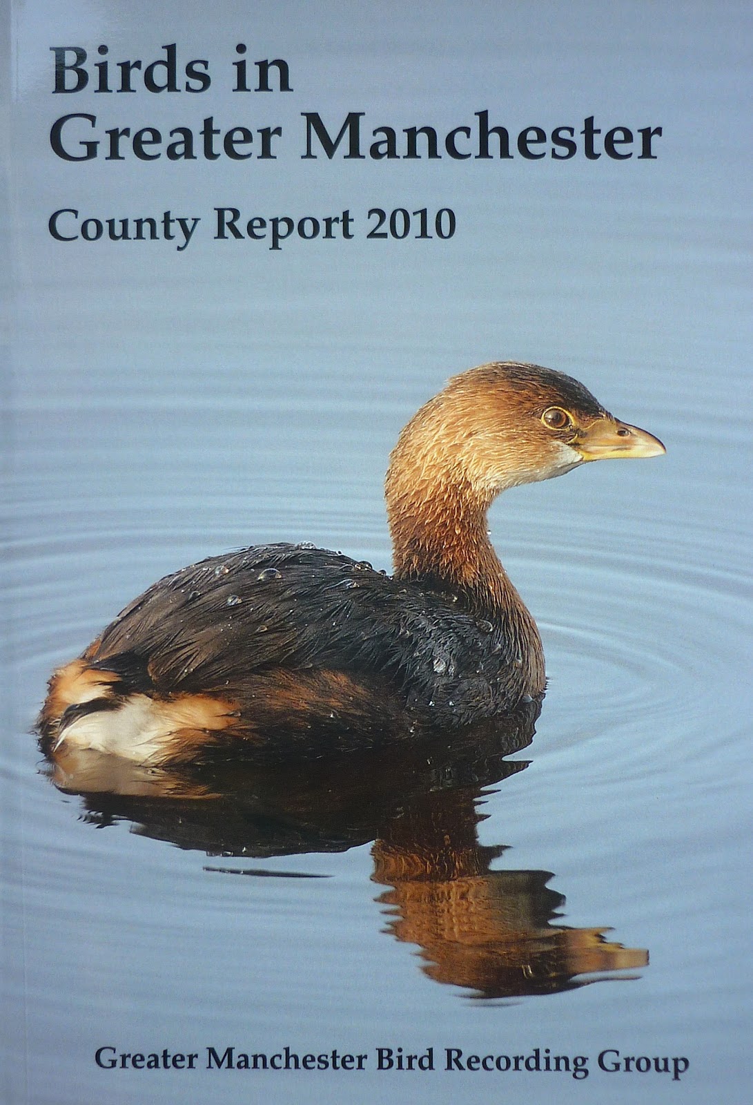 Leigh Ornithological Society: Birds in Greater Manchester Bird County ...